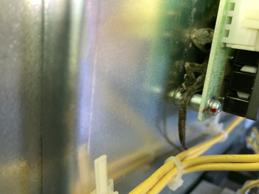 非常用発電機のエンジンが動かない！【メンテナンス事例】異物混入 大竹建機産業株式会社｜名古屋の建機・資材・非常用電源・発電機販売